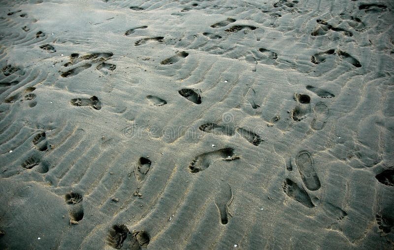 Foot print stock image. Image of footprint, coastal, tropical - 839839