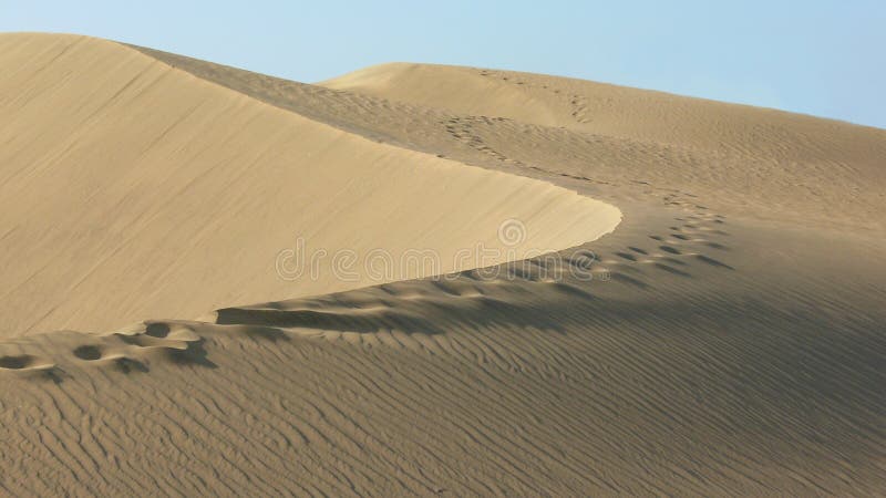 Foot Print in the Desert Sand Stock Photo - Image of growth, background ...