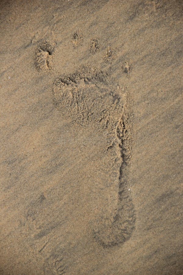 Foot print stock photo. Image of real, print, foot - 47184314