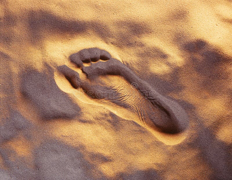 Foot print in the sand stock image. Image of beach, gold - 255068009
