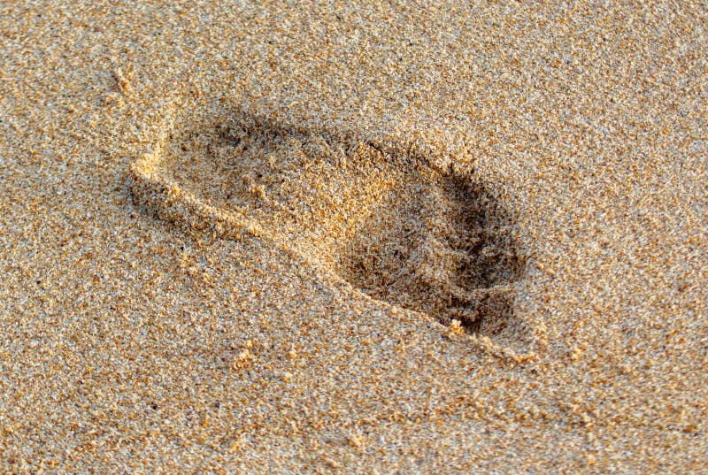 Foot Print on the Sandy Beach Stock Photo - Image of foot, sandy: 240888362