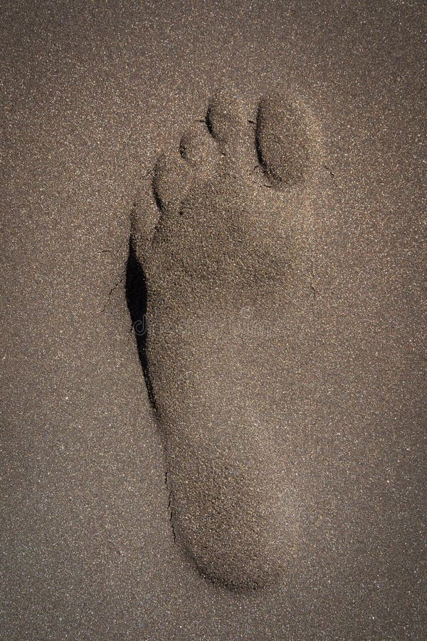 Foot print in the sand stock image. Image of toes, heel - 163206127