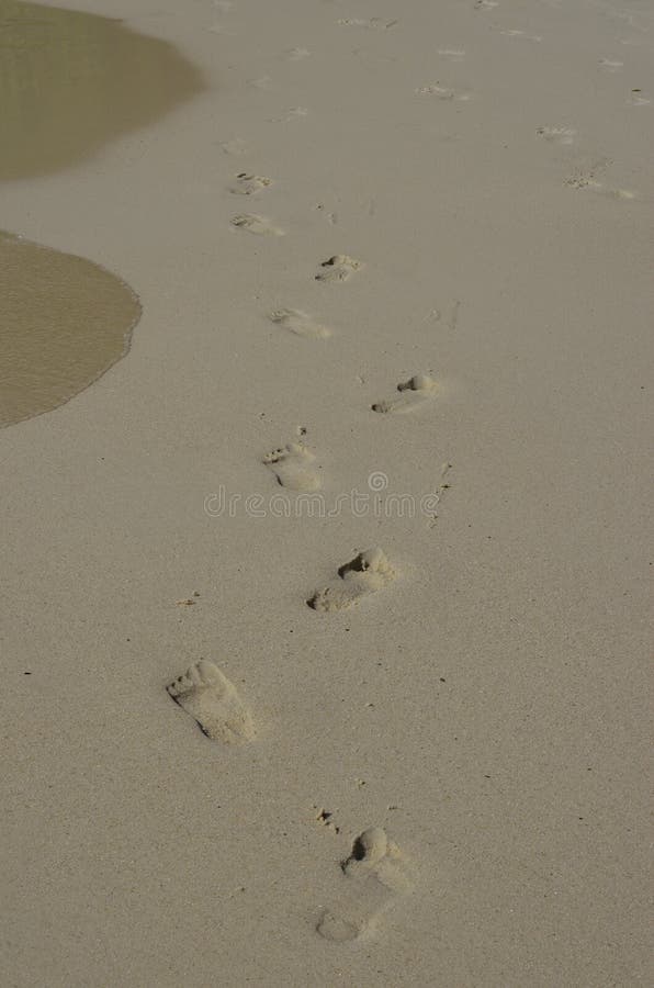 Foot print stock photo. Image of footprint, landscape - 85357648