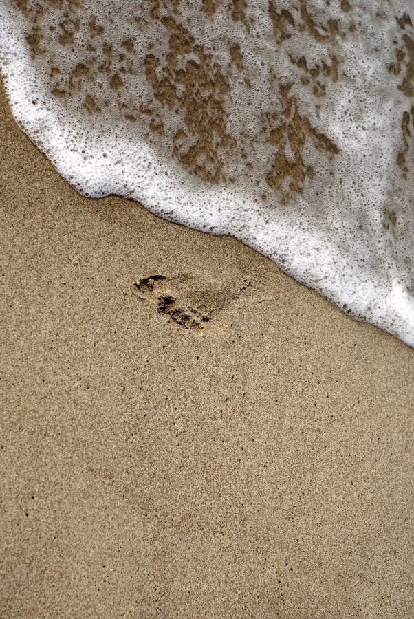 Foot Print Sea Sand Picture. Image: 9809069