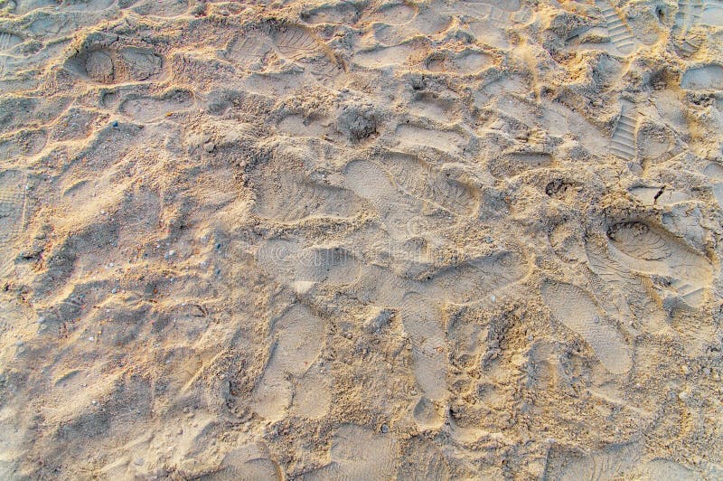 Foot Print and Shoe Print on the Sand at the Beach Stock Image - Image ...
