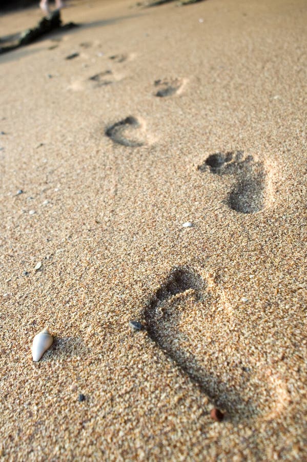 Fading Footprints in the Sand Stock Photo - Image of beach, journey ...