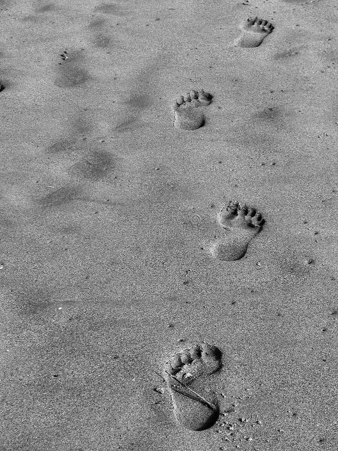 Foot prints stock photo. Image of footprint, textures, background - 114386