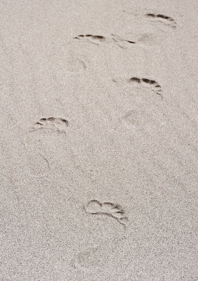 Single footprint on sand stock image. Image of explore - 5742053