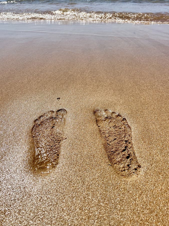 Foot Prints on Beach stock image. Image of beaches, feet - 313942407
