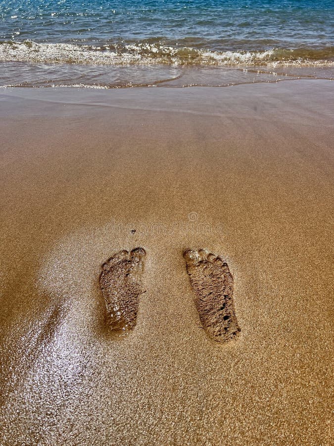 Foot Prints on Beach stock image. Image of holiday, coastline - 313942421
