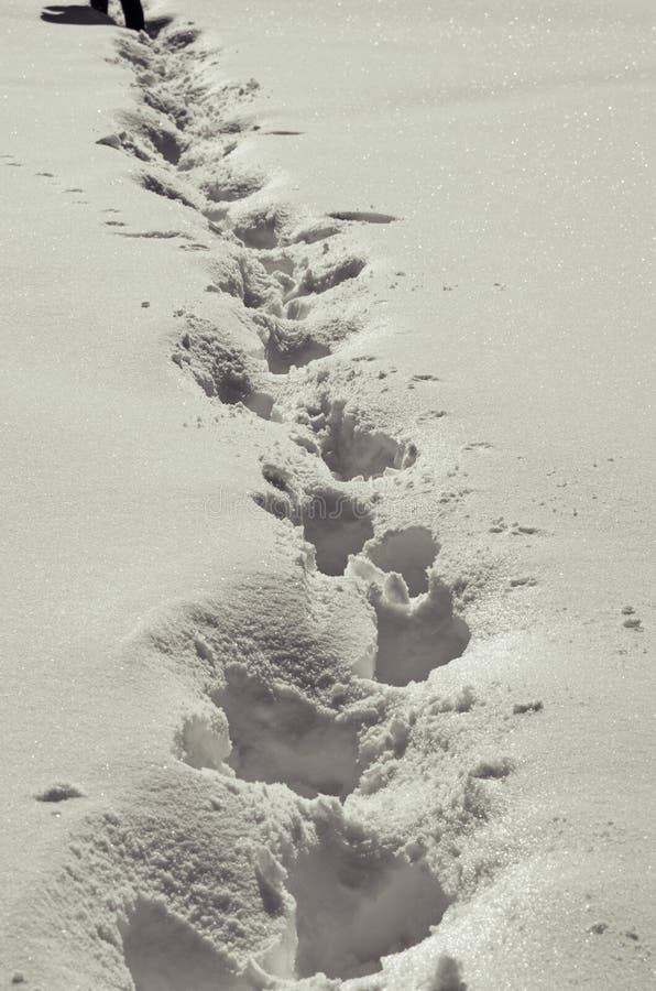 Foot prints on snow stock image. Image of frozen, aerial - 142947645