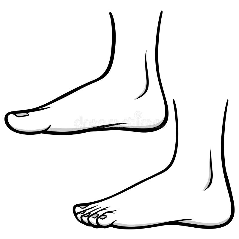 Foot Profiles Illustration stock vector. Illustration of medicine ...