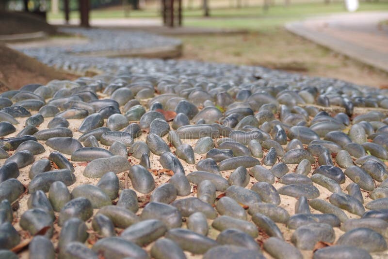Foot reflexology path. stock image. Image of stone, healthcare - 25419359
