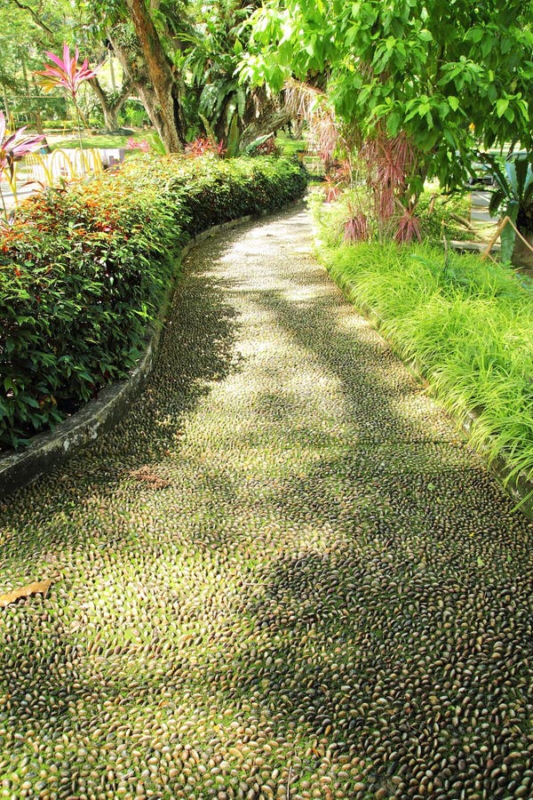Foot Reflexology Walking Path Stock Photo - Image of feet, footpath ...