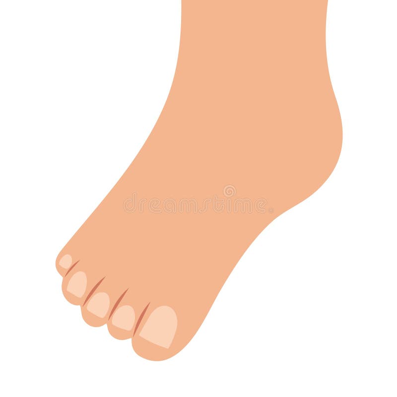 Toenail Right Stock Illustrations – 21 Toenail Right Stock ...