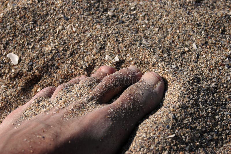Foot in the Sand stock photo. Image of sand, foot, beach - 1076328