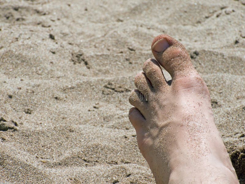 Foot in the sand stock photo. Image of vacation, coast - 2819468