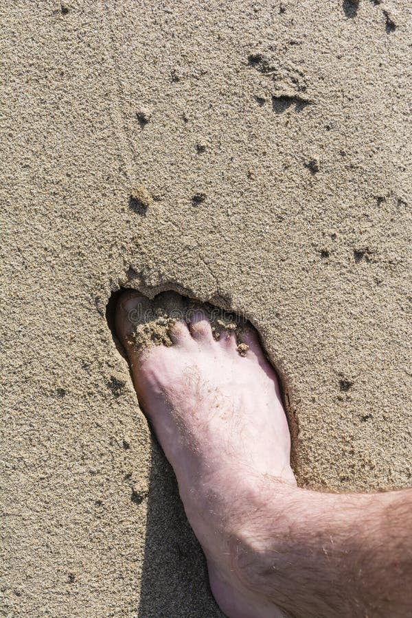 Foot in the sand stock photo. Image of fingers, coast - 53536084