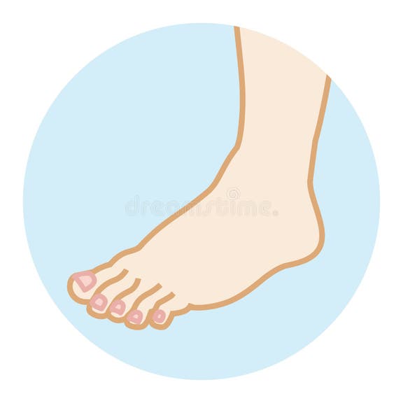 Foot -Side view stock vector. Illustration of ankle, clean - 91297349