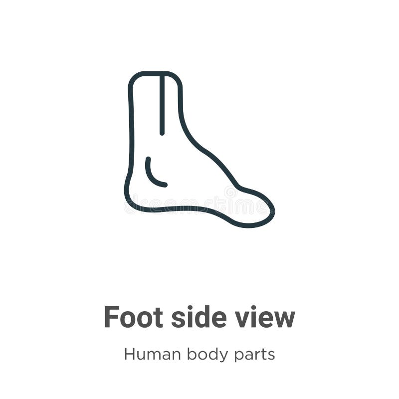 Foot Side View Icon. Thin Linear Foot Side View Outline Icon Isolated ...