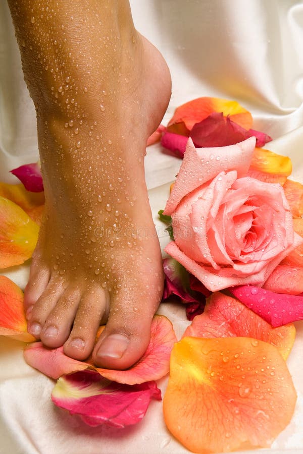 Foot on the Silk Cloth with Rose and Rose- Stock Image - Image of body ...