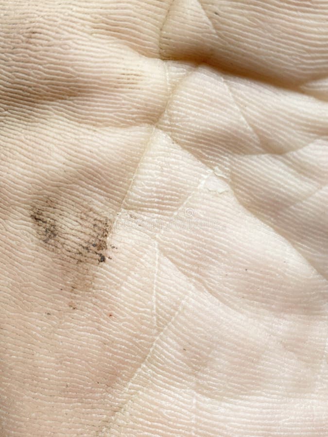 Foot skin texture stock image. Image of healthcare, closeup - 265474811