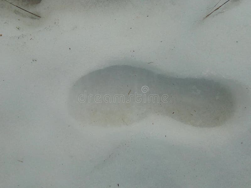 Foot in snow stock photo. Image of yeti, foot, human - 91955318
