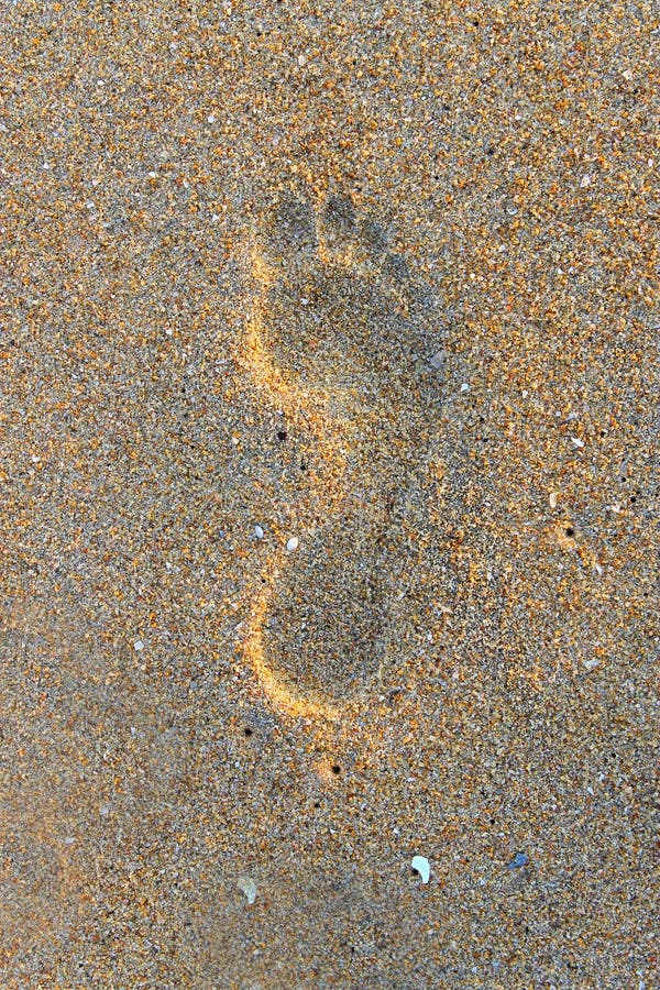 Foot step on beach sand stock image. Image of mark, journey - 50222135