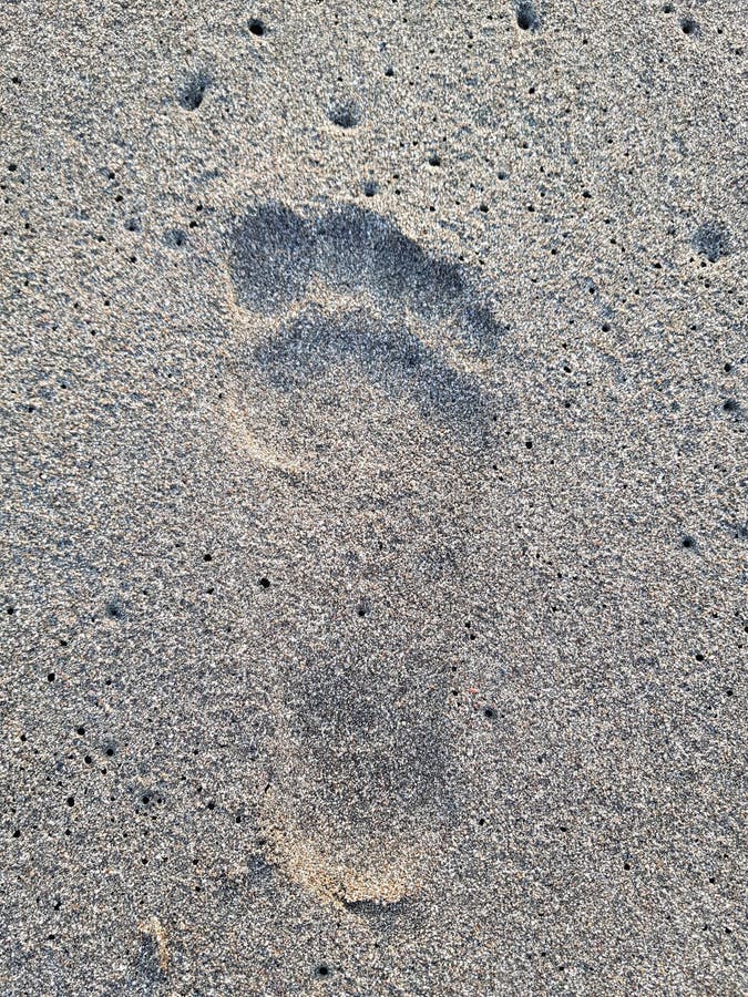 Foot step on beach sand stock photo. Image of view, sand - 172376208