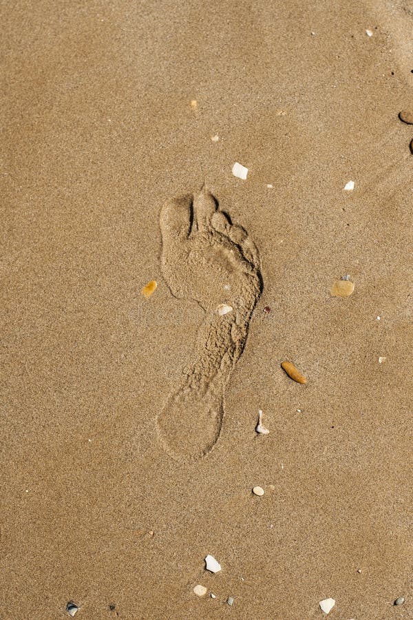 Foot step stock photo. Image of print, ocean, relaxing - 44779164