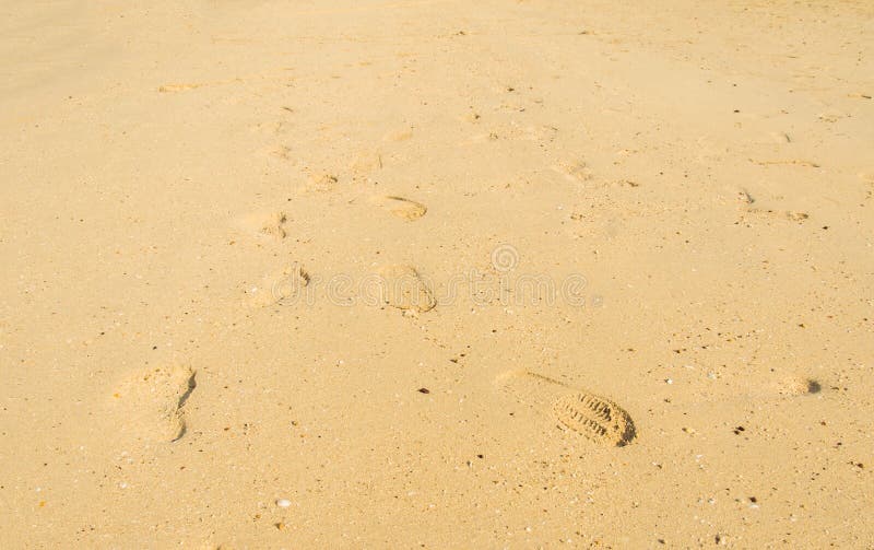Foot step on sand stock photo. Image of beach, environment - 61183384