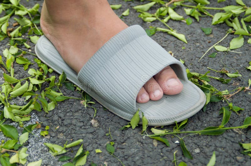 A Foot is Stepping on a Fall Leaf Stock Image - Image of stepping, foot ...
