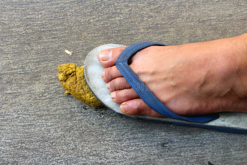 Foot Stepping into a Pile of Dog Poop Stock Photo - Image of animal ...