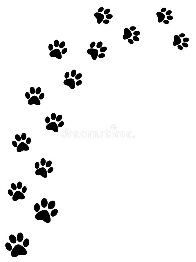 Realistic Cheetah Tracks or Footprints Stock Vector - Illustration of ...
