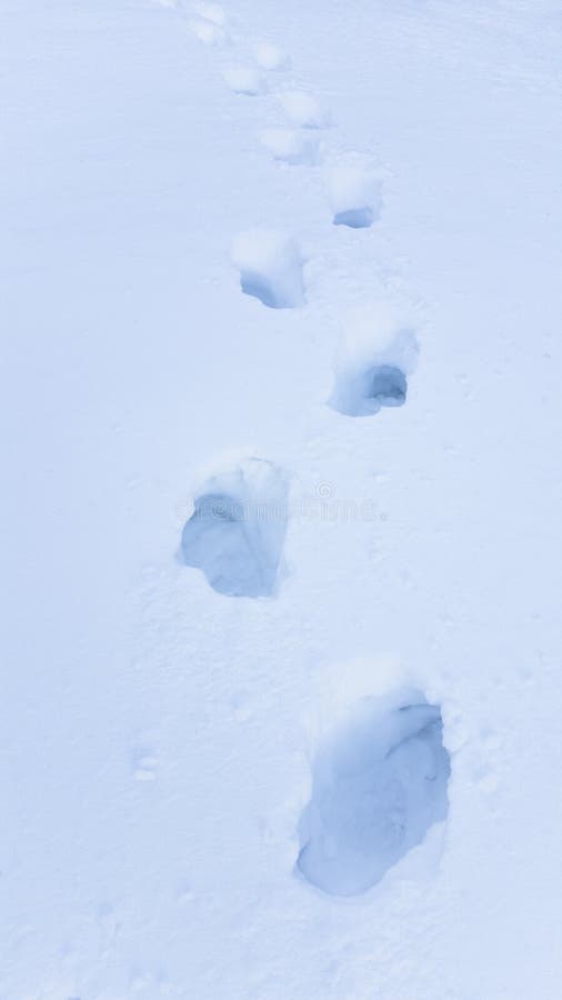 Footsteps in snow stock image. Image of freeze, boots - 7631657