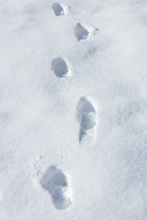 Foot Steps in the Fresh Snow Stock Photo - Image of blown, snow: 173589770