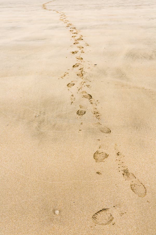 Foot steps in sand stock photo. Image of steps, sand - 62613540