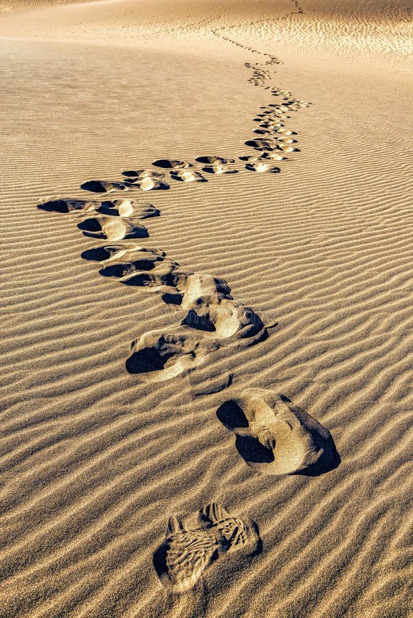 Foot steps in the sand stock photo. Image of colorado - 93068980