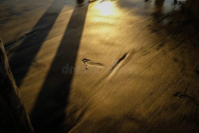Foot Steps in the Sand with Pier Shadows Stock Image - Image of ...