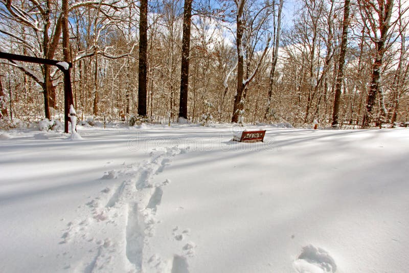 Foot steps stock image. Image of mark, secluded, deep - 67341027