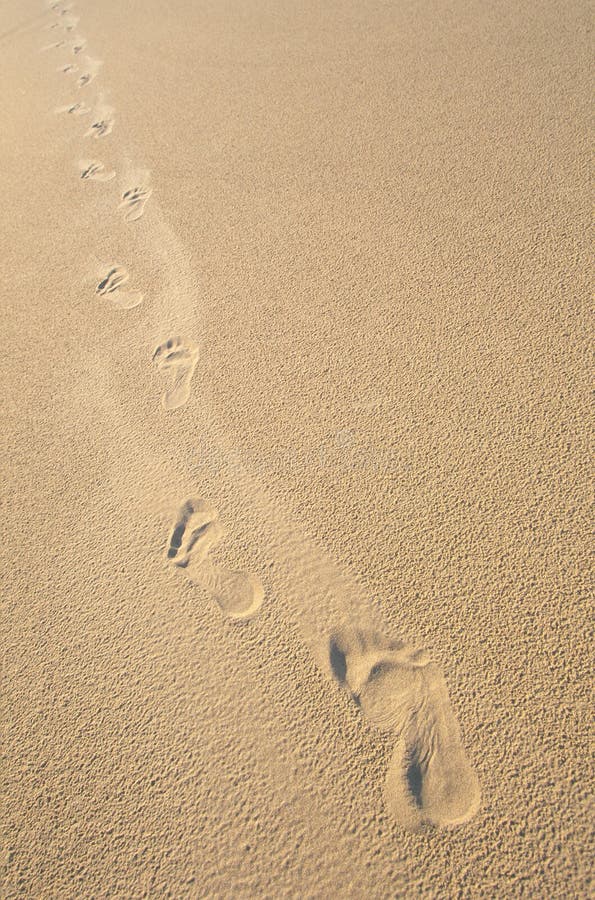 Foot Steps in Smooth, Beige Sand Stock Image - Image of multiple ...