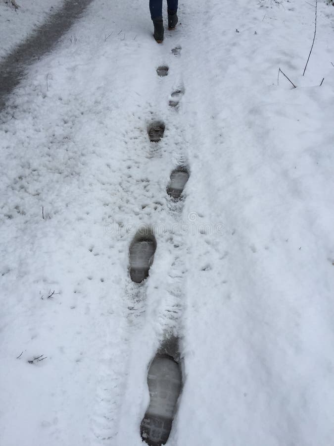 Foot Steps in the Fresh Snow Stock Photo - Image of blown, snow: 173589770