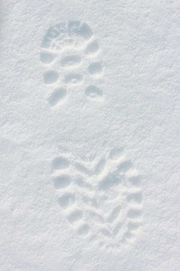 Foot Steps in the Fresh Snow Stock Photo - Image of blown, snow: 173589770
