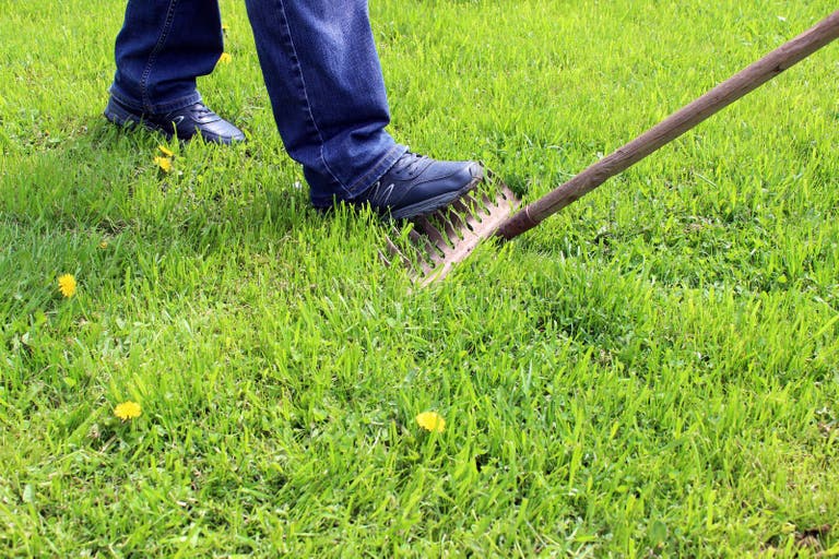 The Foot Steps on the Thrown Rake on the Green Grass Stock Photo ...