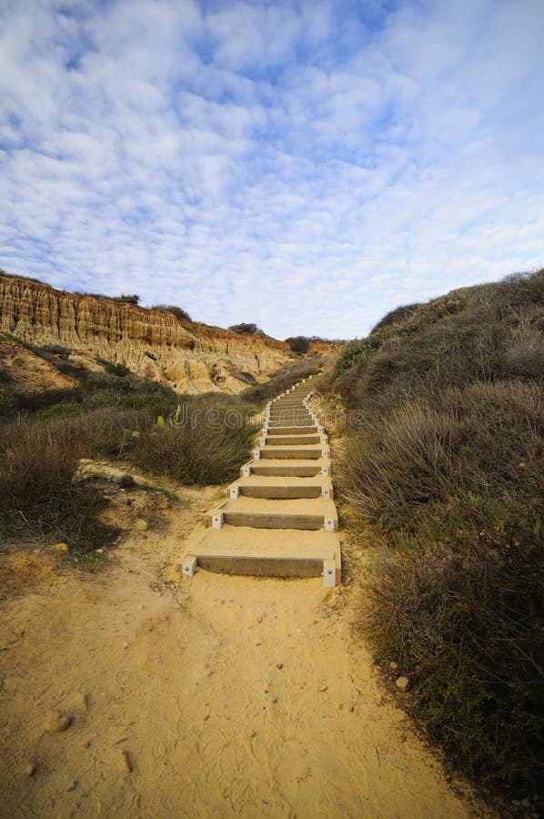 Foot Steps in the Sand stock photo. Image of journey, shell - 2286478