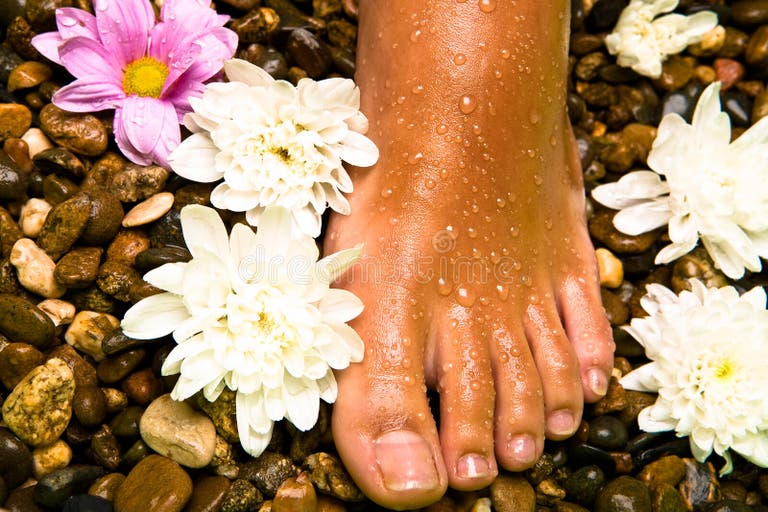 8,209 Wet Shiny Stone Stock Photos - Free & Royalty-Free Stock Photos ...