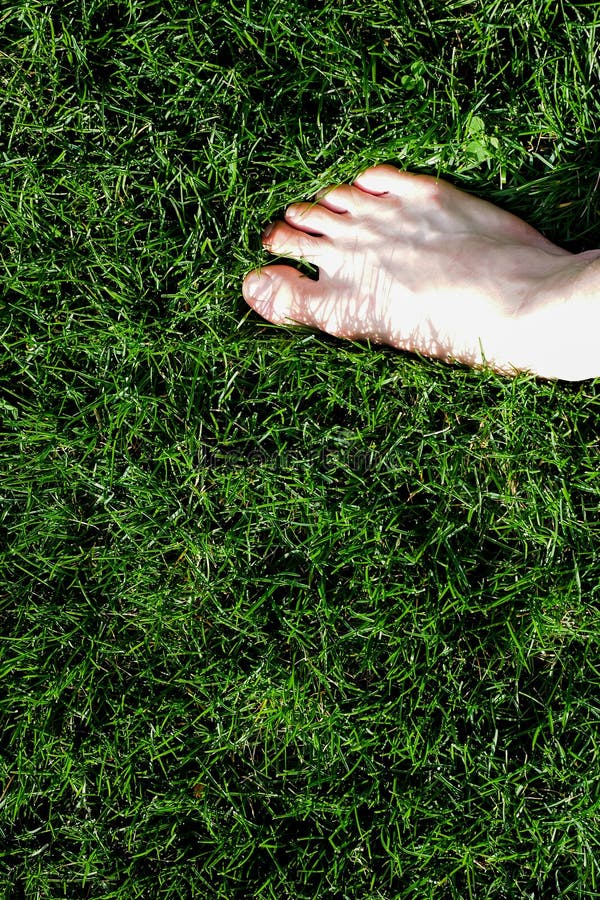 Spa foot by touch stock image. Image of feet, masseuse - 42603837