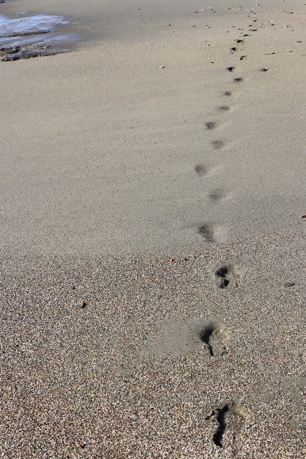 Foot Traces Go into the Distance on the Sand Texture Stock Photo ...