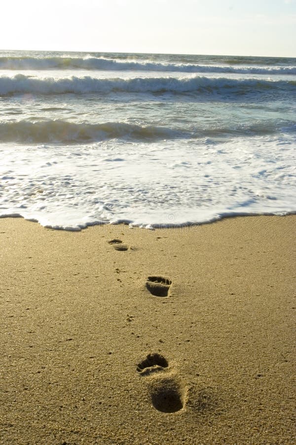 Foot Trail Picture. Image: 6575665