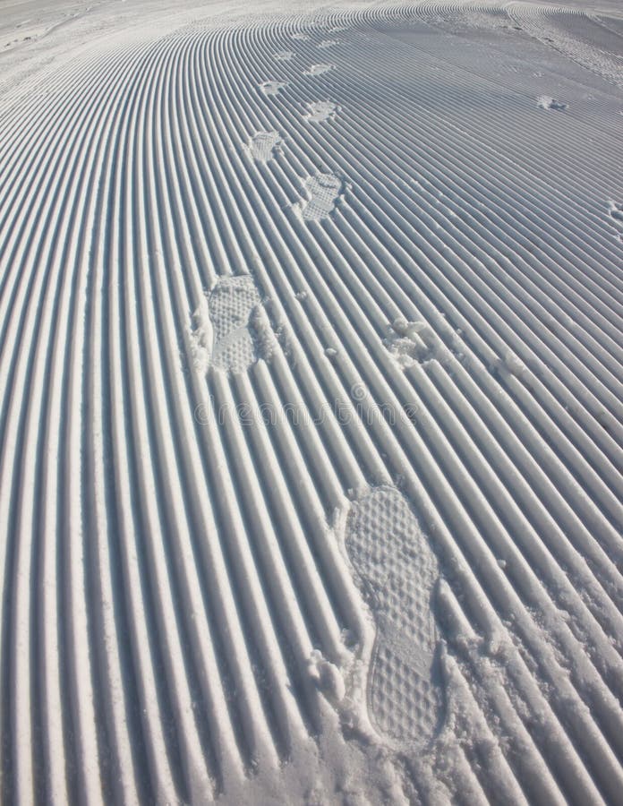 Foot Trail in snow stock photo. Image of footprint, powder - 42692262